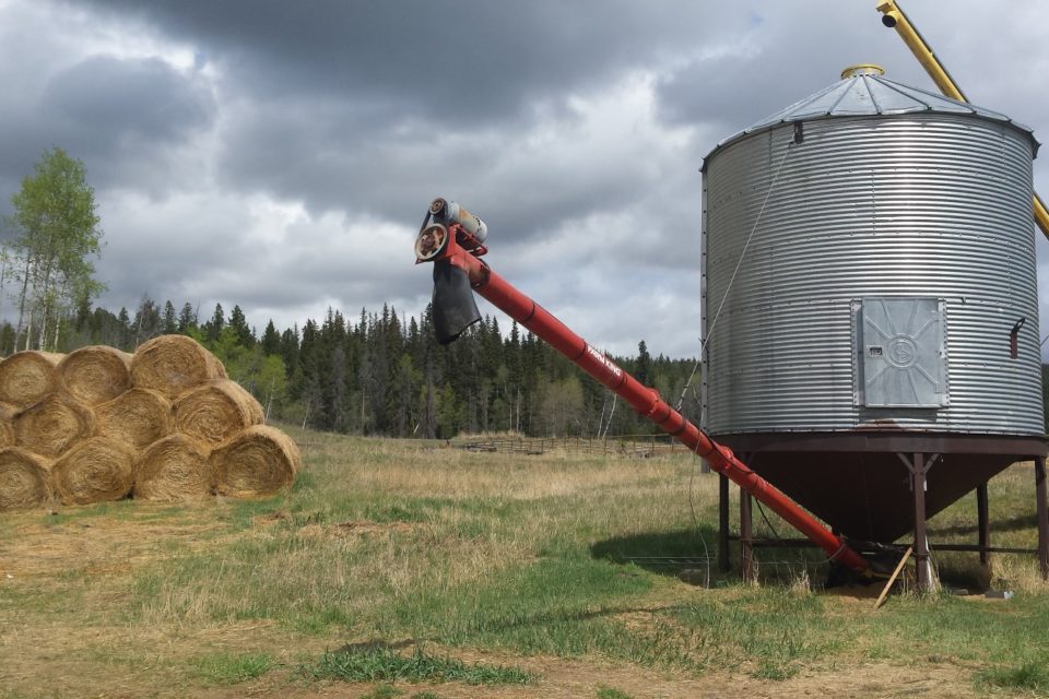 Confined Spaces on the Farm – SafetyNow ILT